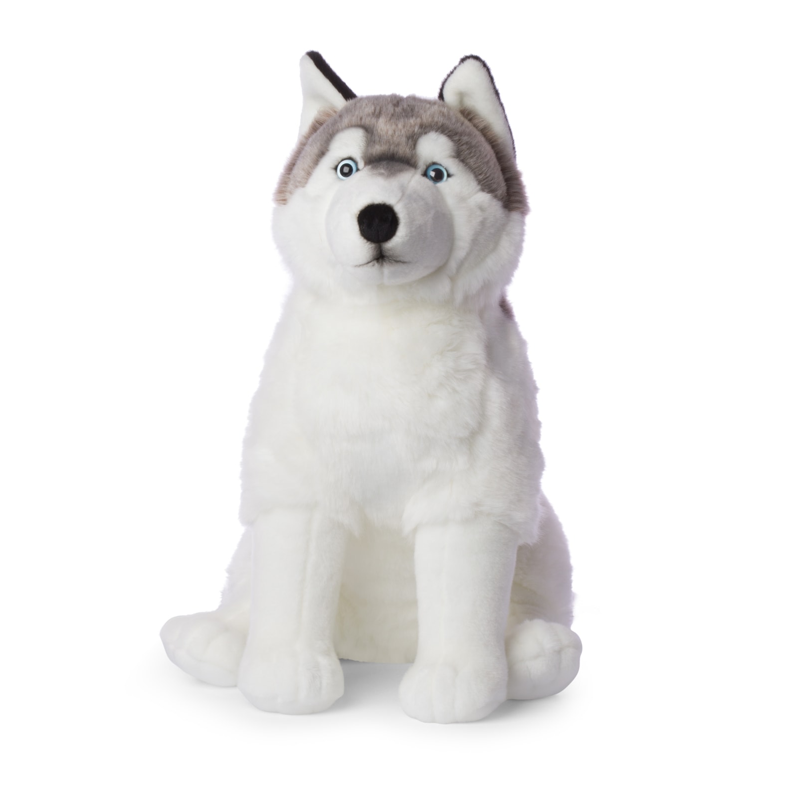 WWF - Plüschtier - Husky (sitzend, 70cm) lebensecht Kuscheltier ...